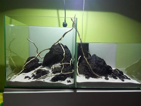 Nano Playground The Planted Tank Forum