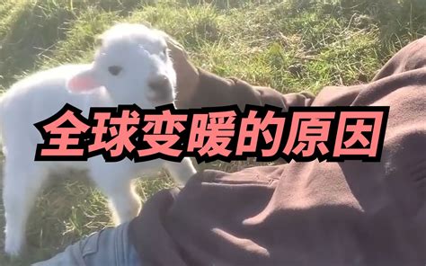 【喜哥】找到全球变暖的原因了 羊村你喜哥k 羊村你喜哥k 哔哩哔哩视频