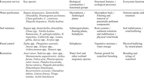 Characterization Of Key Species Functional Groups Ecological Elements