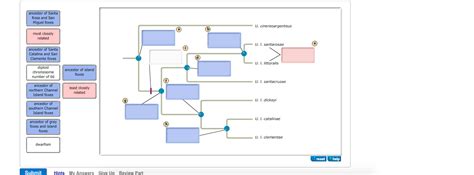 Solved Part B Phylogenetic Trees And Chegg