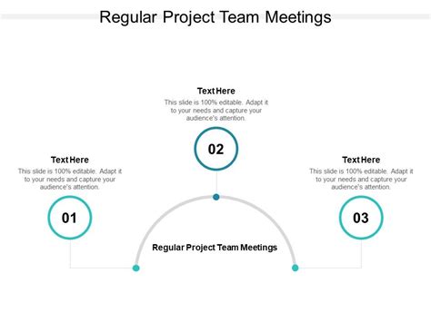 Regular Project Team Meetings Ppt Powerpoint Presentation Gallery