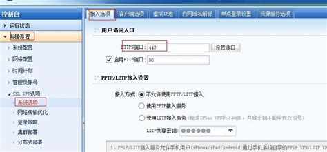 Ssl Vpn