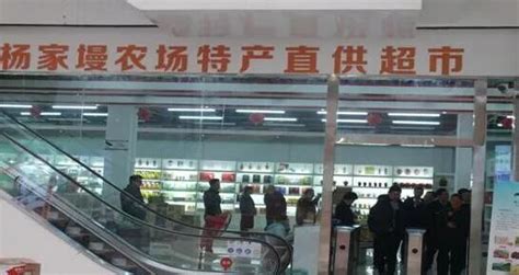 省现代物流业转型发展调研团观摩西峡电子商务产业孵化园 电商前沿 西峡县电子商务公共服务中心 【官网】首页 ：西峡电商网《首页》pc电脑版