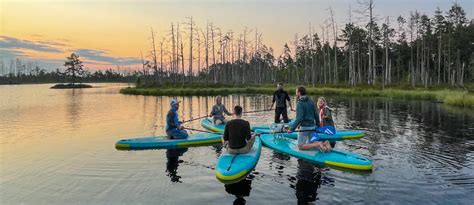 Mastering Team Integrity With Adizes Methodology Flex Bi