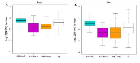 Genes Associated With Heterochromatin Are Less Expressed Than Genes Download Scientific Diagram
