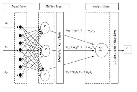 local linear neural wavelet network architecture download scientific