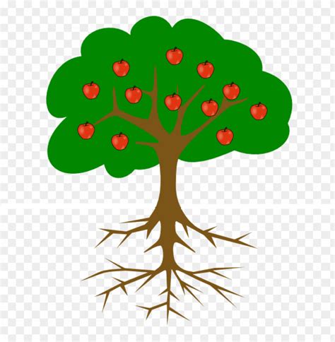 Free Download HD PNG Cartoon Tree Roots Tree Clip Art PNG Transparent With Clear Background ID