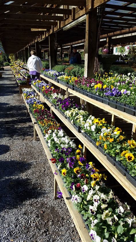 Glass Farm Nursery Rising Fawn Ga