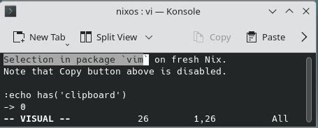 Vim Selection Problems With VirtualBox Appliance Help NixOS Discourse