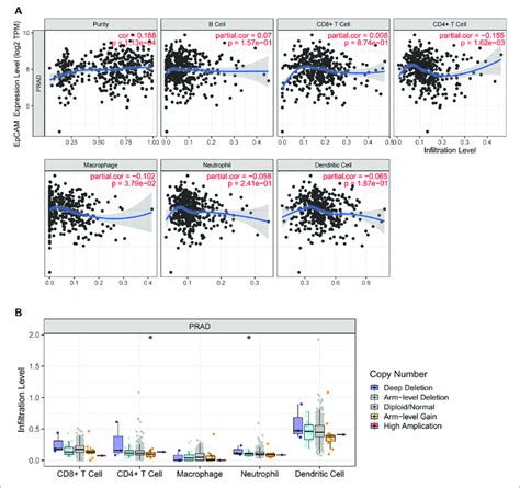 Correlation Analysis Between Epcam Expression And Immune Cells In