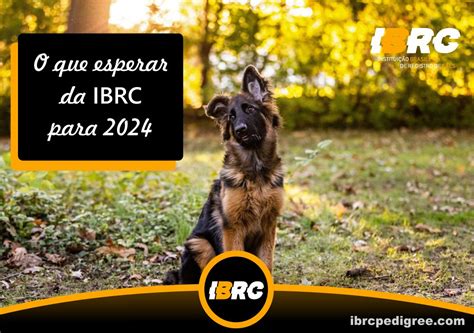 O Que Esperar Da Ibrc Para 2024 Ibrc Pedigree