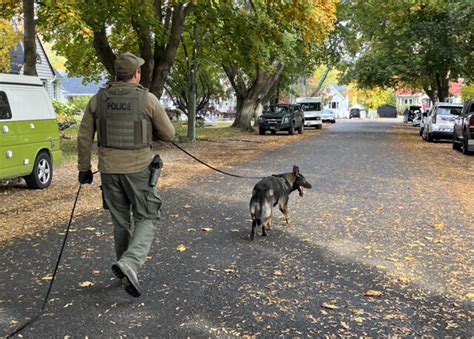 Kelowna Rcmp Swarm Neighbourhood In Search Of Car Thief Kelowna News