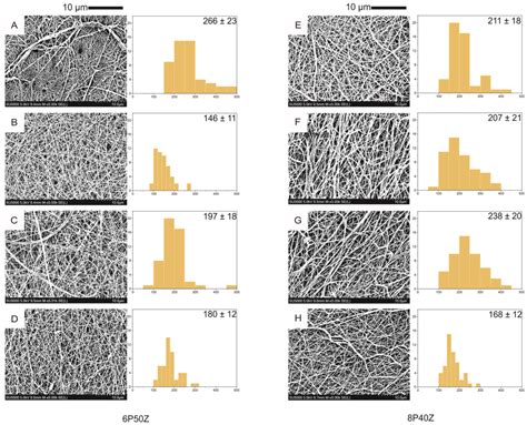 Published Paper Co Electrospun Pclzein Membranes As Articular
