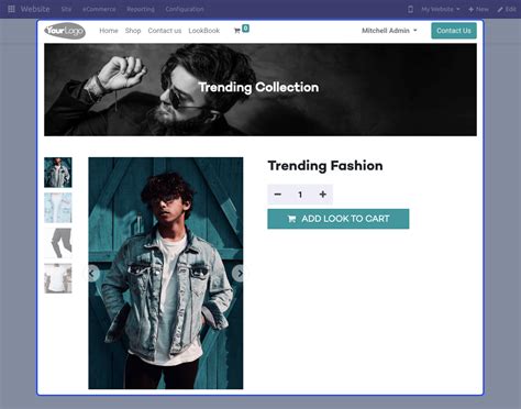 Odoo Website Shop the Look - WebKul