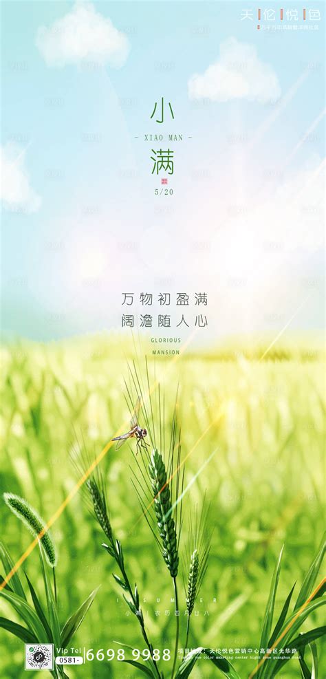 小满节气清新海报psd广告设计素材海报模板免费下载 享设计