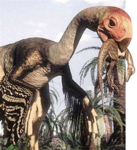 AGATHAUMAS Gigantoraptor Alectrosaurus
