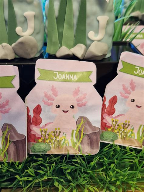 Ajolote Fiesta Personalizada