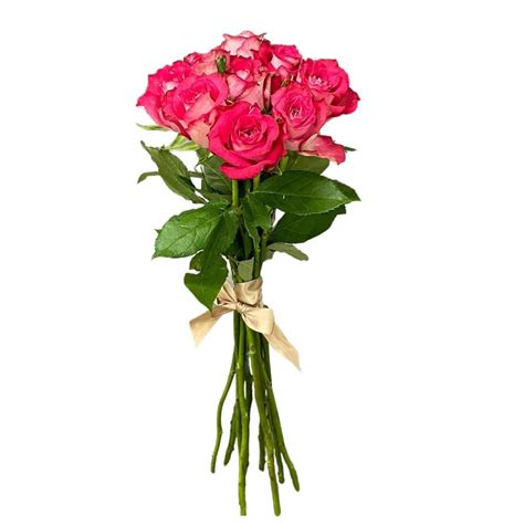 Kytice 9 Růžových Růží Crossfire 60 Cm