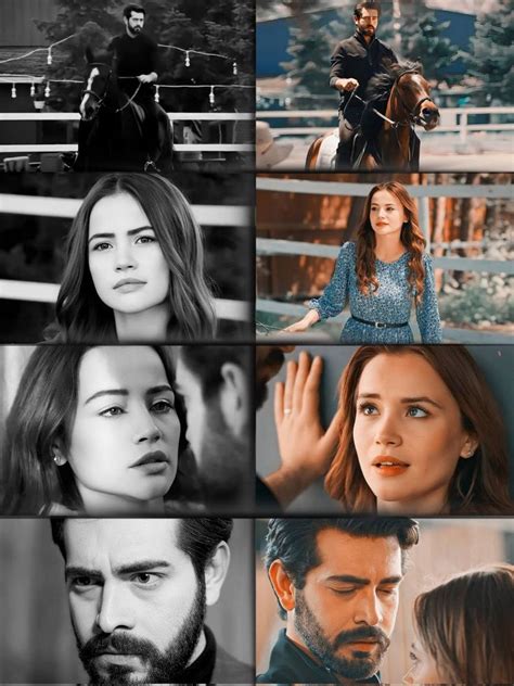「kan çiçekleri」おしゃれまとめの人気アイデア｜pinterest｜hope Hudson