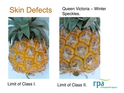 Ppt Pineapples Powerpoint Presentation Free Download Id4265322