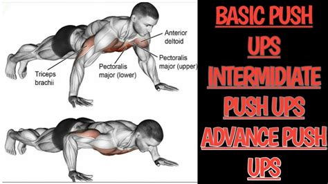 Starting As Basic Push Ups 10 15 Than Intermediate Push Ups 25 30 Last