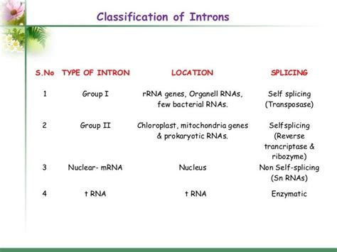 Introns Structure And Functions