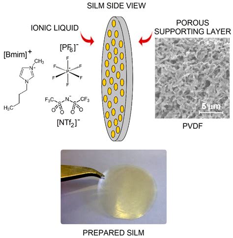 Membranes Free Full Text Development And Application Of Supported