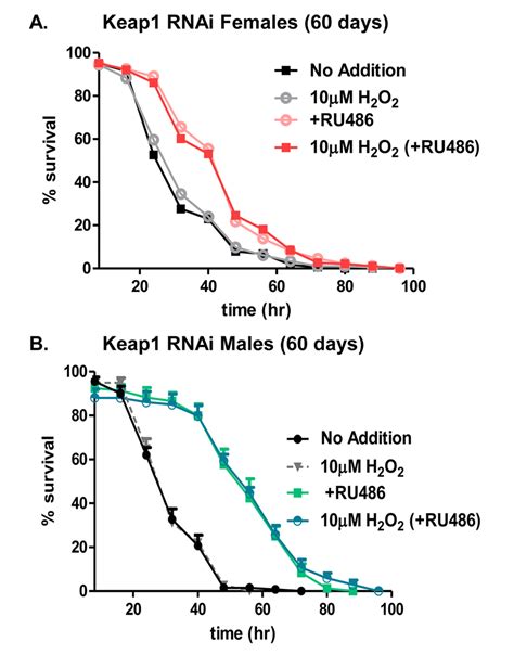 The Age And Sex Specific Decline Of The 20s Proteasome And The Nrf2