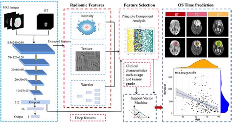 Flow Chart Of The Survival Prediction Model Download Scientific Diagram