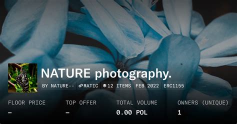 Nature Photography Collection Opensea Nature Photography Collection Opensea