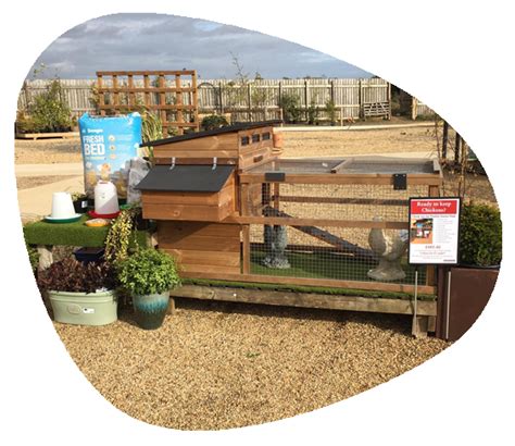 Poultry Starter Kit The Poultry Centre