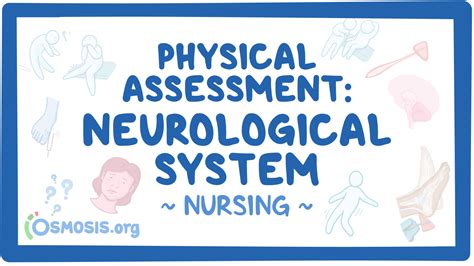 The Neurological Examination Nursing Notes Nursing Mn