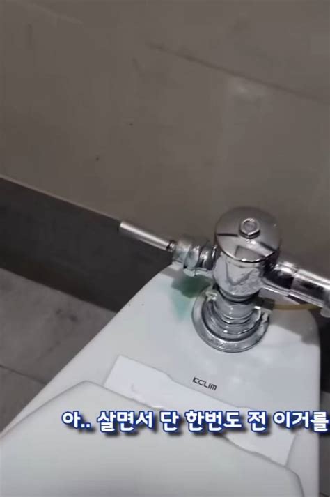 [잡담] 다들 공중화장실 변기 발로 내려 손으로 내려 인스티즈 Instiz 일상 카테고리