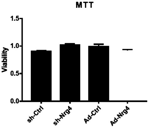 Application Of Nrg4 As Target To Preparation Of Antidiabetic Medicine