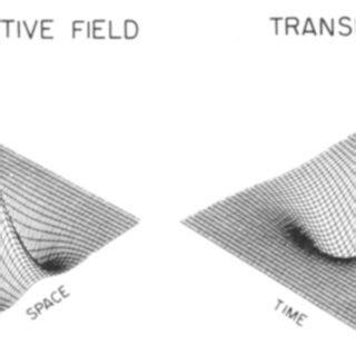 Hypothetical Response Properties Of Sustained And Transient Mechanisms Download Scientific