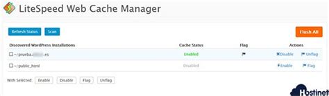 LiteSpeed Web Cache Manager Gestiona LSCache Desde CPanel