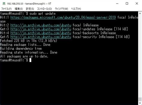 Sql Server Ubuntu Server