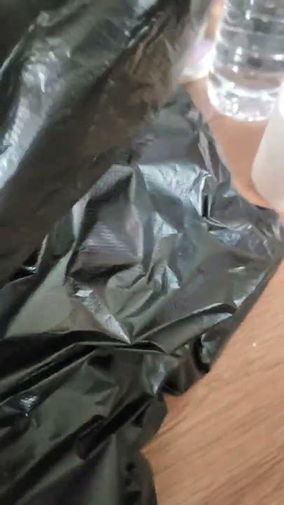 비닐봉지 좋아하는 고양이 봉투안에 쏙 Youtube
