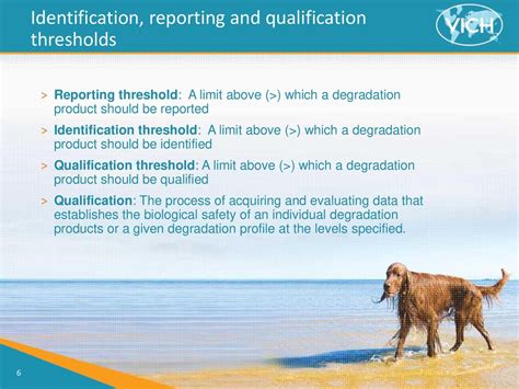 Reporting Identification And Qualification Thresholds At Courtney Szeto