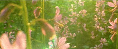 關於陽西 你真的懂它嗎 每日頭條