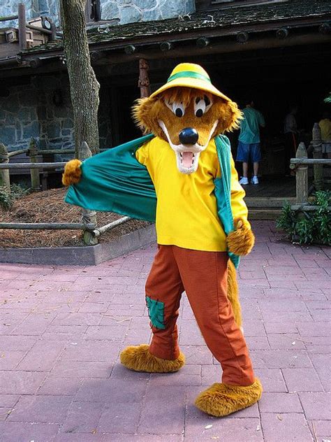 1000 Images About Brer Fox And Brer Bear On Pinterest Disney