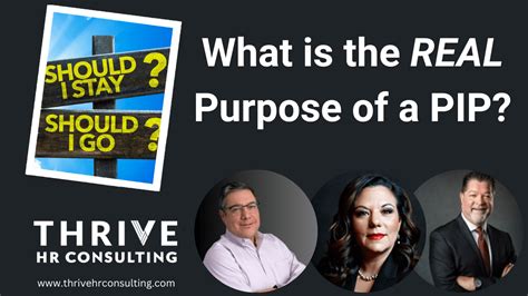 What Is The REAL Purpose Of A PIP Thrive HR Consulting