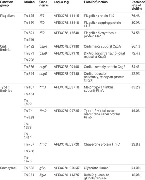 Identication Of Tn5 Transposon Insertion Sites Download Scientific Diagram