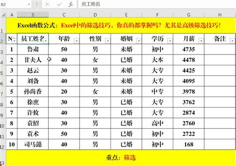 你真的会筛选吗掌握筛选技巧让你的数据脱颖而出 知乎