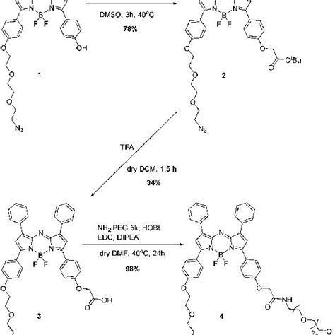 Pdf Synthesis Of A Novel Her2 Targeted Aza Bodipy Antibody Conjugate