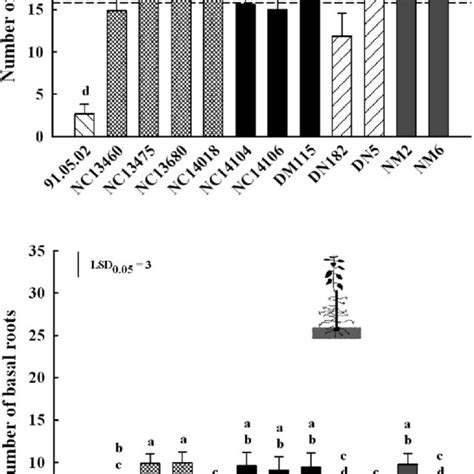 Percent Of Root Tissue Based On Number Of Roots Allocated To Download Scientific Diagram