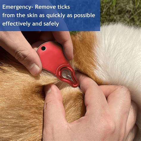 Tick Remover Tool Portable Tick Removal For Pet And Humans Safe And