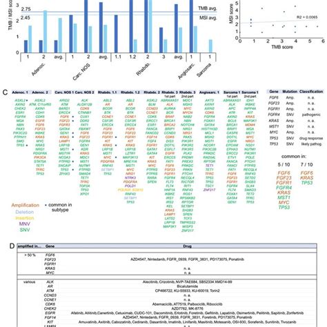 A B Illustration Of The Tumor Mutational Burden Tmb Mutations