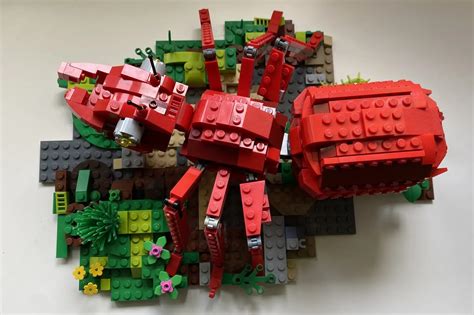 Lego Ideas Ant