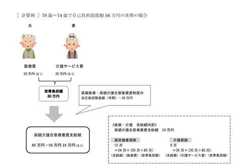 高額医療・高額介護合算療養費制度 伊勢原市